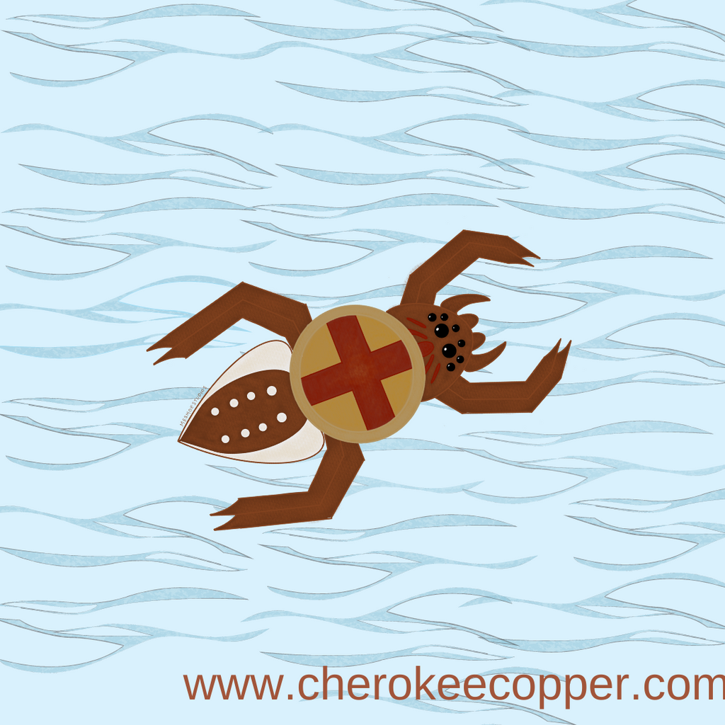 Water Spider: The Cherokee Story of the First Fire Explained – Cherokee ...